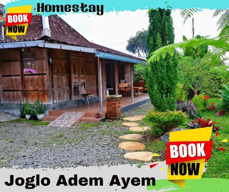 Villa dan Penginapan Kemuning – Paket Wisata Kemuning